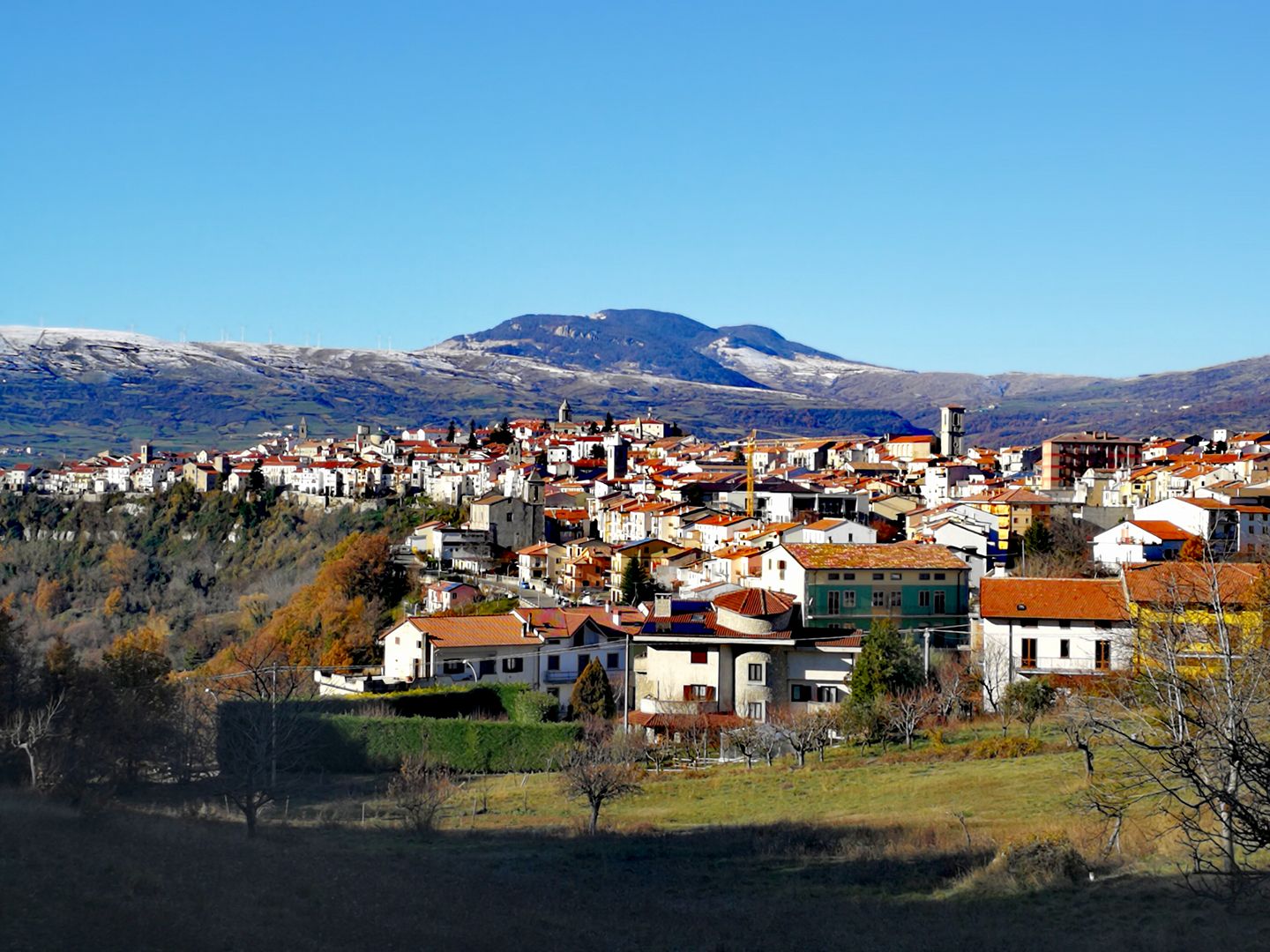 L'Unimol ad Agnone con un laboratorio di formazione su sistemi ...