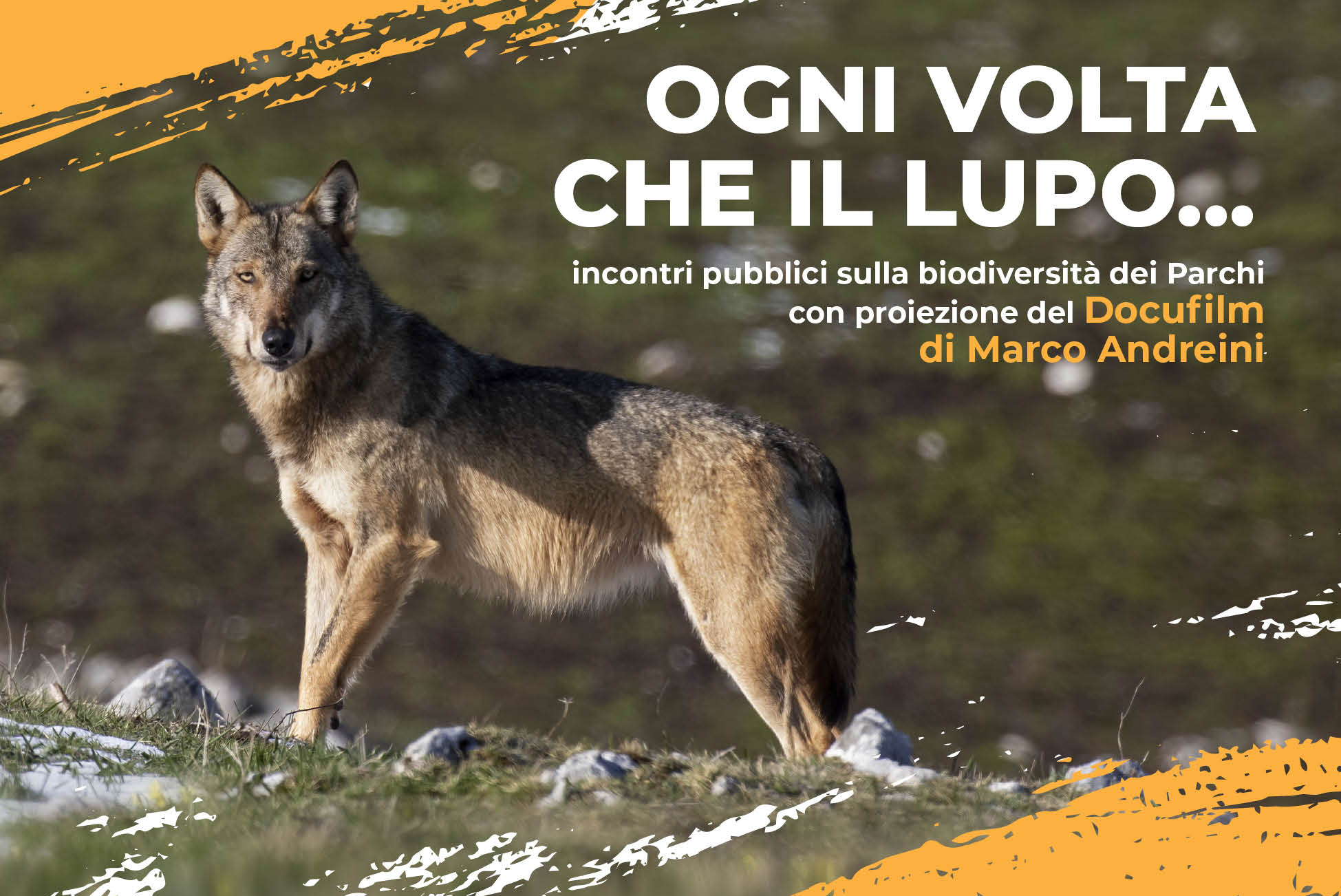 "Ogni volta che il Lupo…”, presentato il docufilm di Marco Andreini - L'Eco
