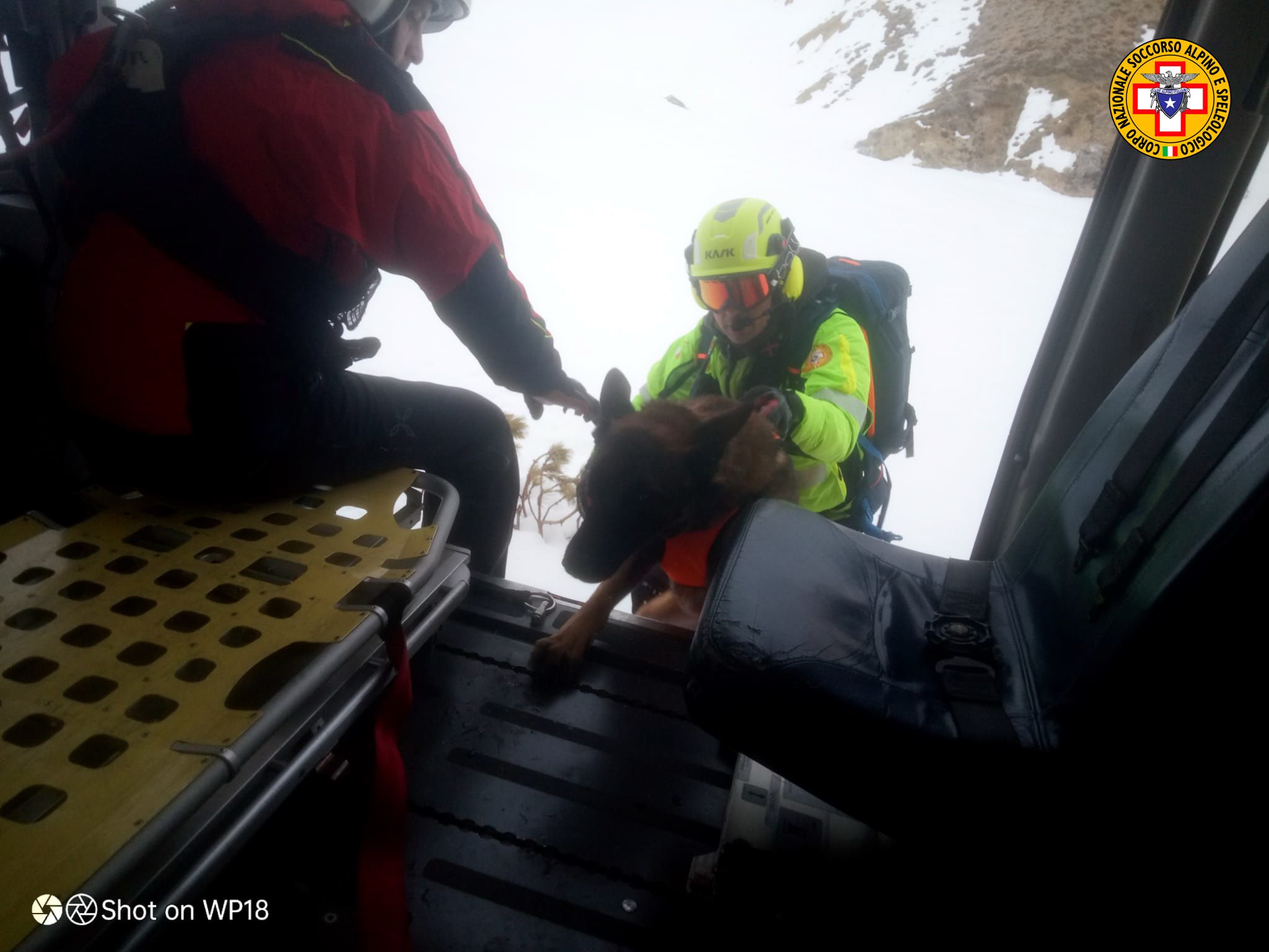 Travolta da una valanga: trovata e disseppellita dall'unità cinofila ...