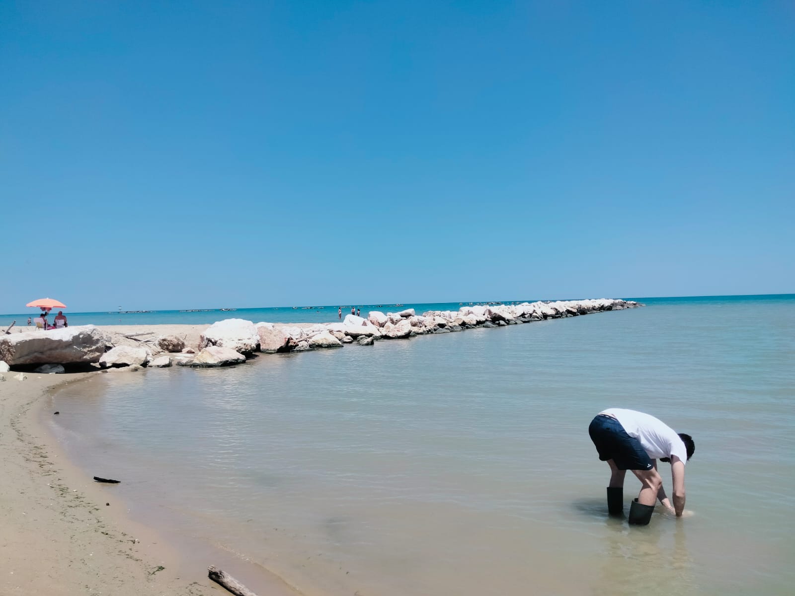 Goletta Verde in Molise: tre campioni su quattro oltre i limiti di ...